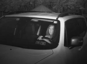 Inex Technologies: Leading LPR & Vehicle Imaging Solutions